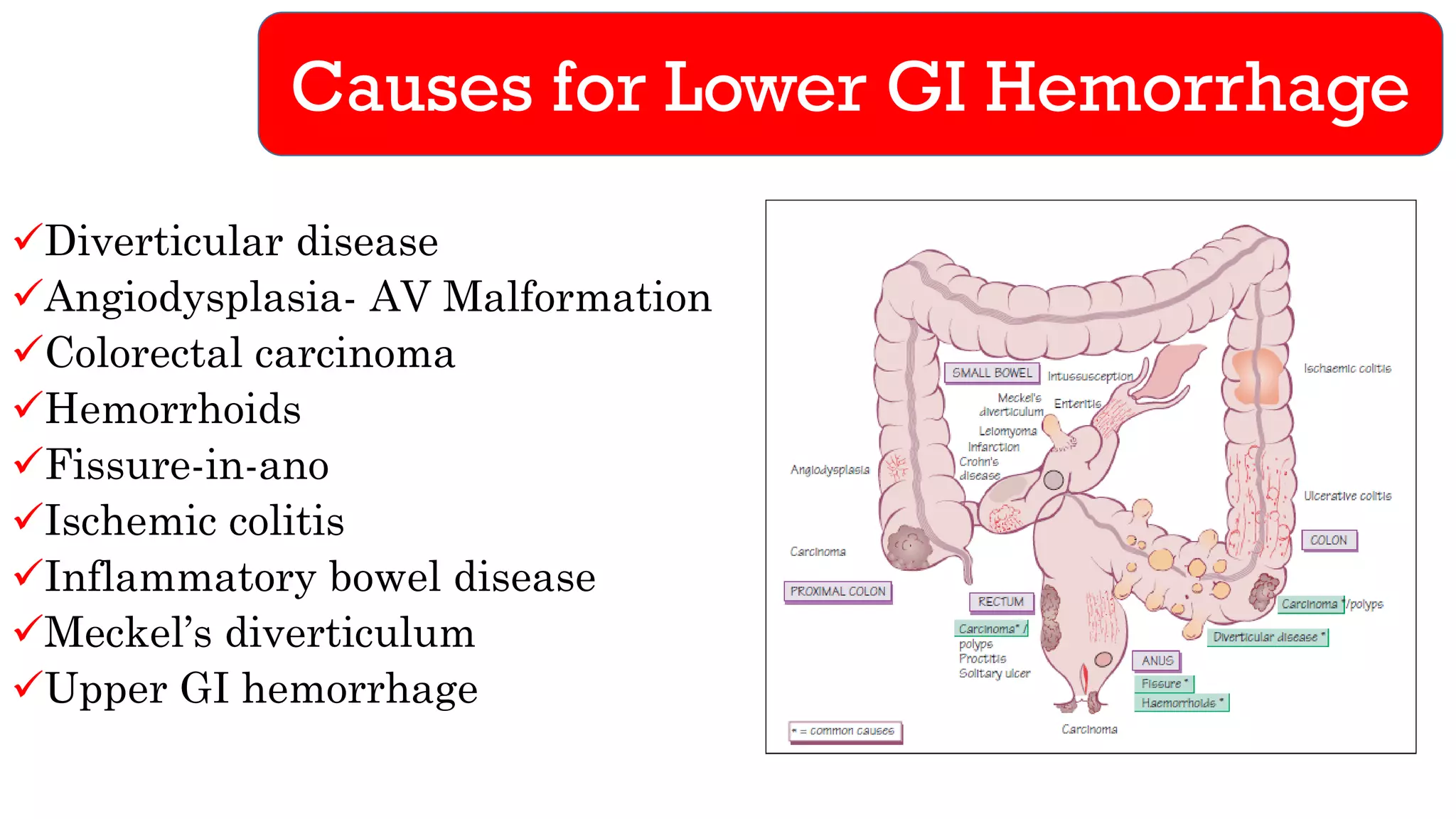 hemorrhoids-lowergihemorrhage-170326044209 (1).pdf