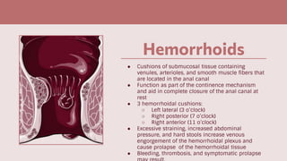 hemorrhoids_fistula.pptx