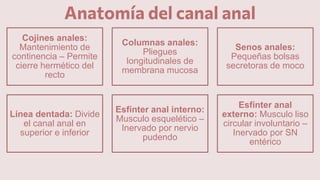 Hemorroides Clase Residencia- R1MI Marissa-2.pptx