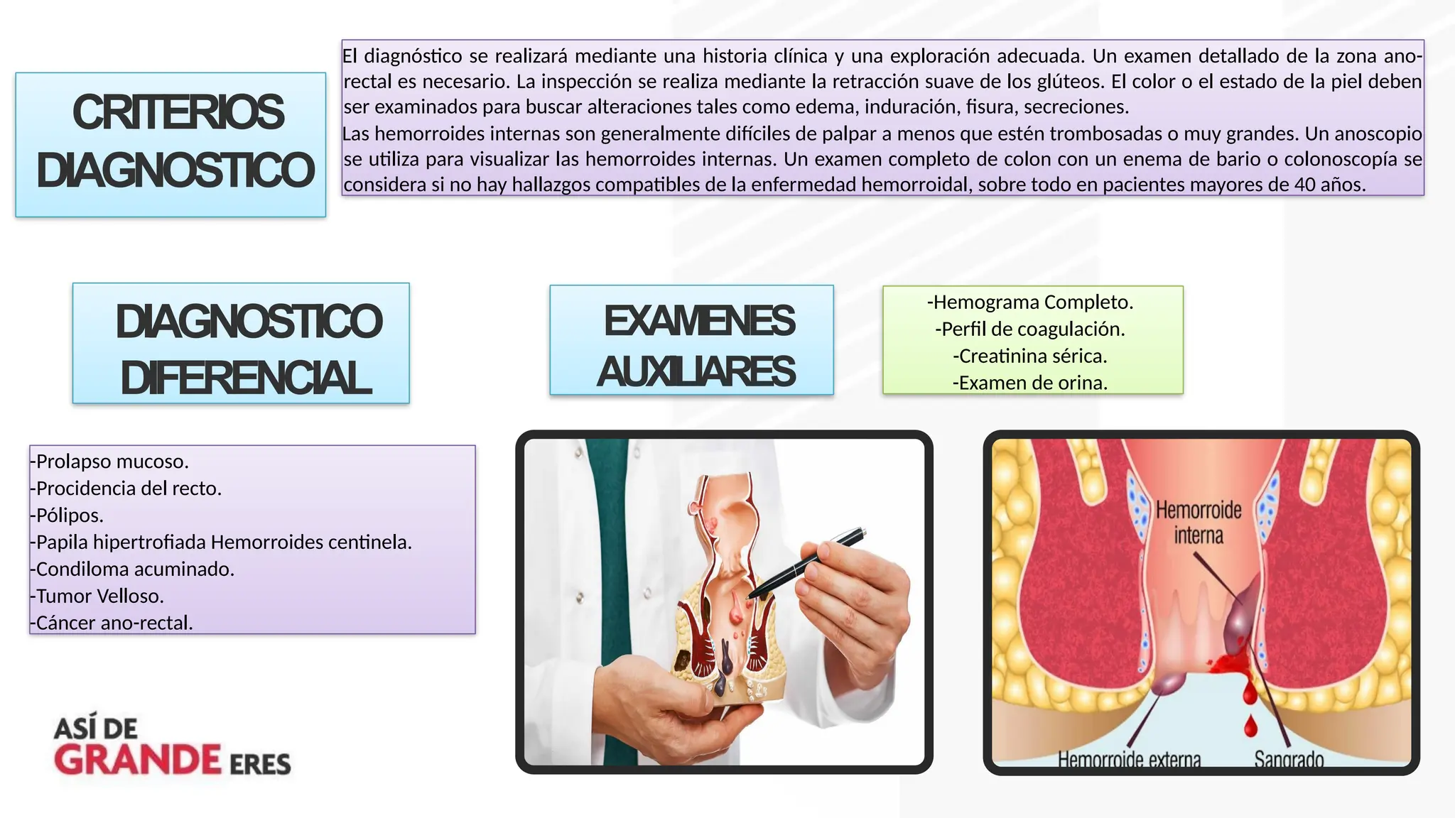 HEMORROIDES RESUMEN DEL TEMA CIRUGIA GENERAL | PPTX