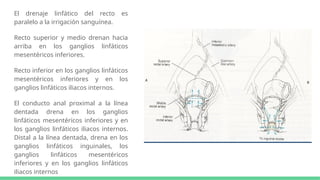 Hemorroides, fisuras, fistulas y abscesos rectales.pptx