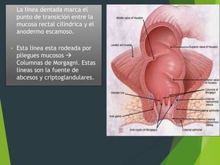 Hemorroides Htca 2016 Pptx