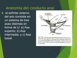 Hemorroides htca 2016 | PPTX