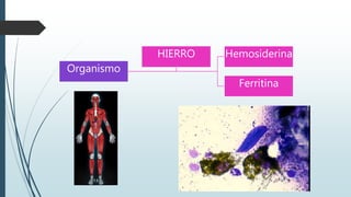 HEMOSIDERINA.pptx
