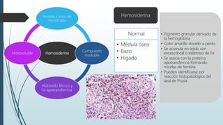 HEMOSIDERINA.pptx