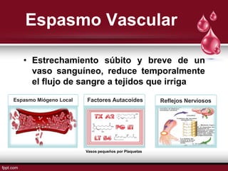 Hemostasia y Coagulación | PPTX