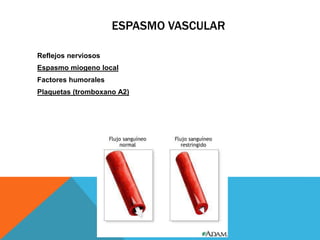 hemostasia.ppt