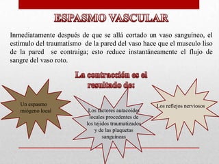 Hemostasia marisol | PPTX