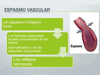 Fisiologia Hemostasia y coagulación sanguínea | PPT