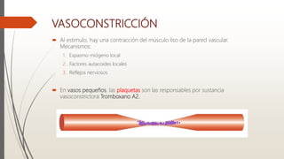 Hemostasia y Coagulacion MECANISMOS DE LA COAGULACION CASCADA DE ...