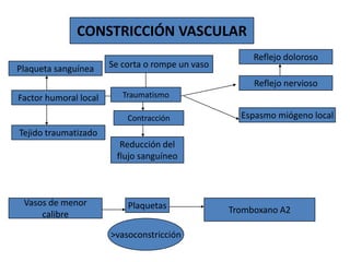 Hemostasia y farmacos anticuagulantes | PPTX