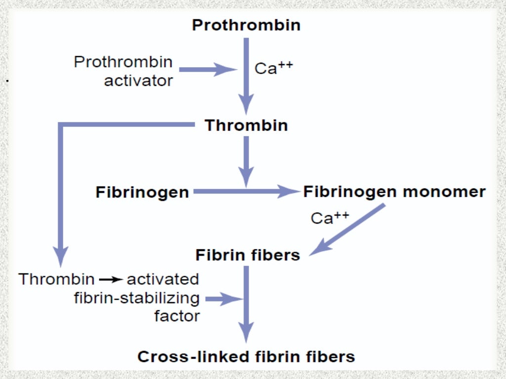 Hemostasis