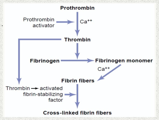 Hemostasis