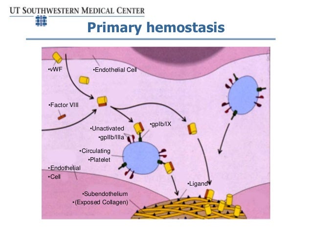 Hemostasis