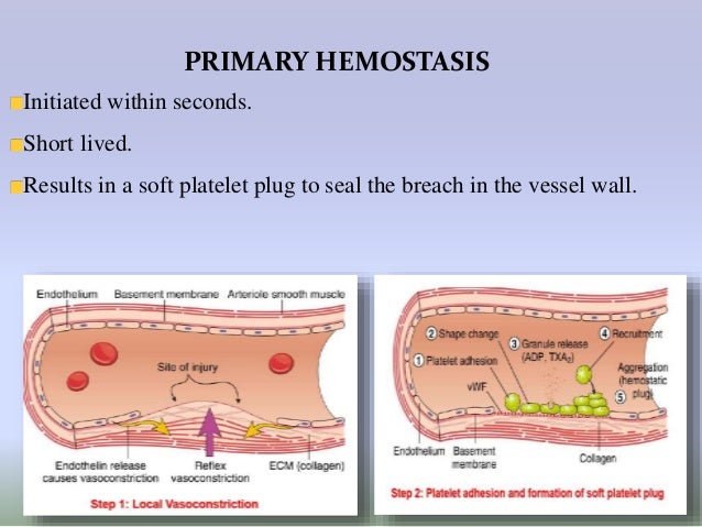 Hemostasis