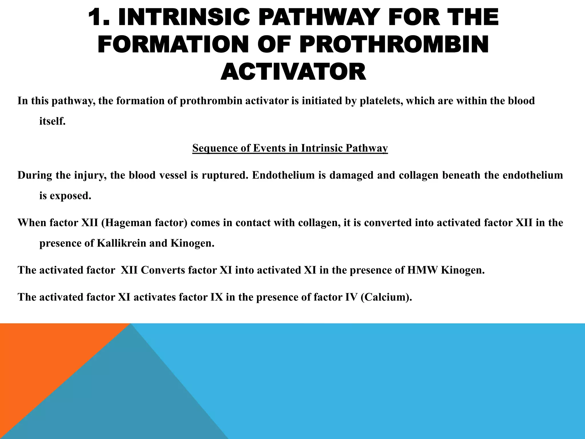 Mechanism of Blood Coagulation | PPTX