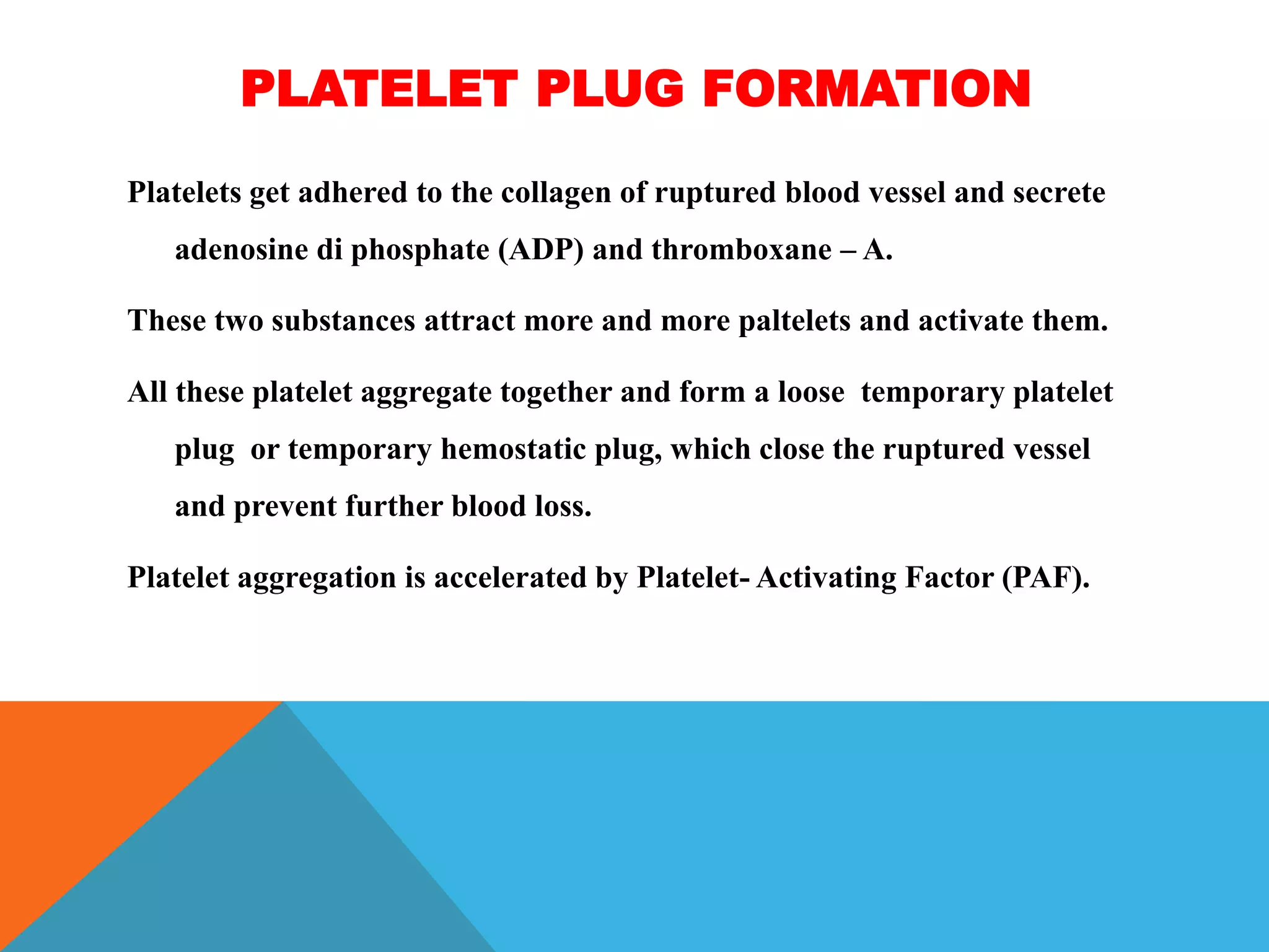 Mechanism of Blood Coagulation | PPTX
