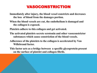 Mechanism of Blood Coagulation | PPTX