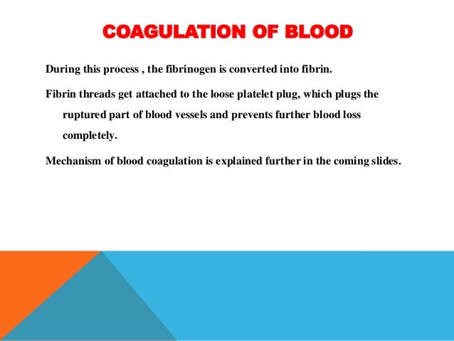 Coagulation Definition Blood Anatomy & Physiology 1224 With Rooney
