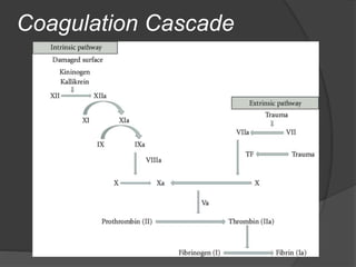 Hemostasis | PPTX