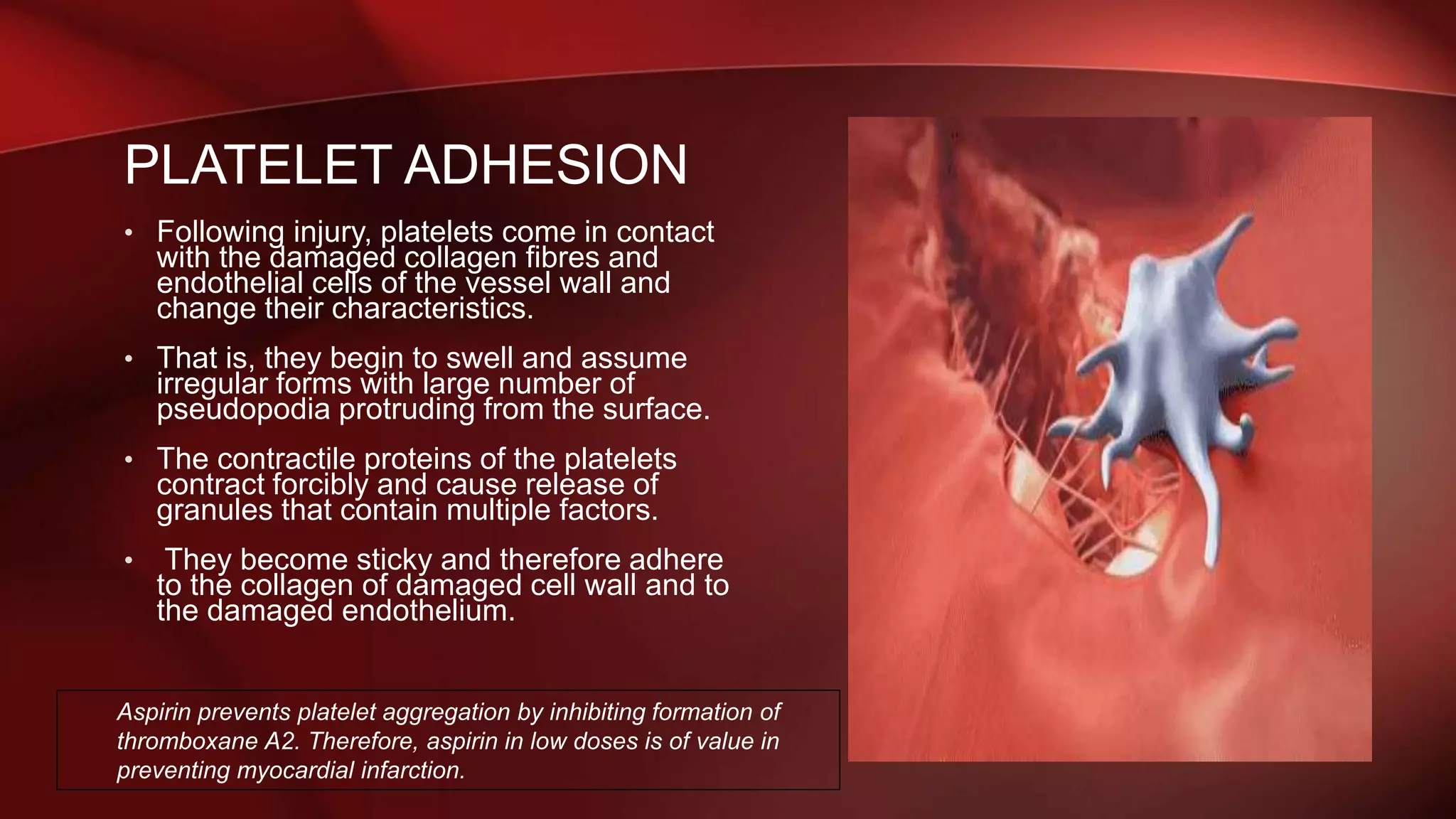 HEMOSTASIS AND ITS STEPS | PPTX
