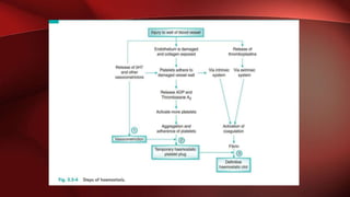 HEMOSTASIS AND ITS STEPS | PPTX