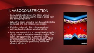 HEMOSTASIS AND ITS STEPS | PPTX