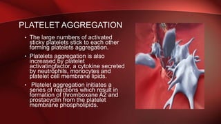 HEMOSTASIS AND ITS STEPS | PPTX