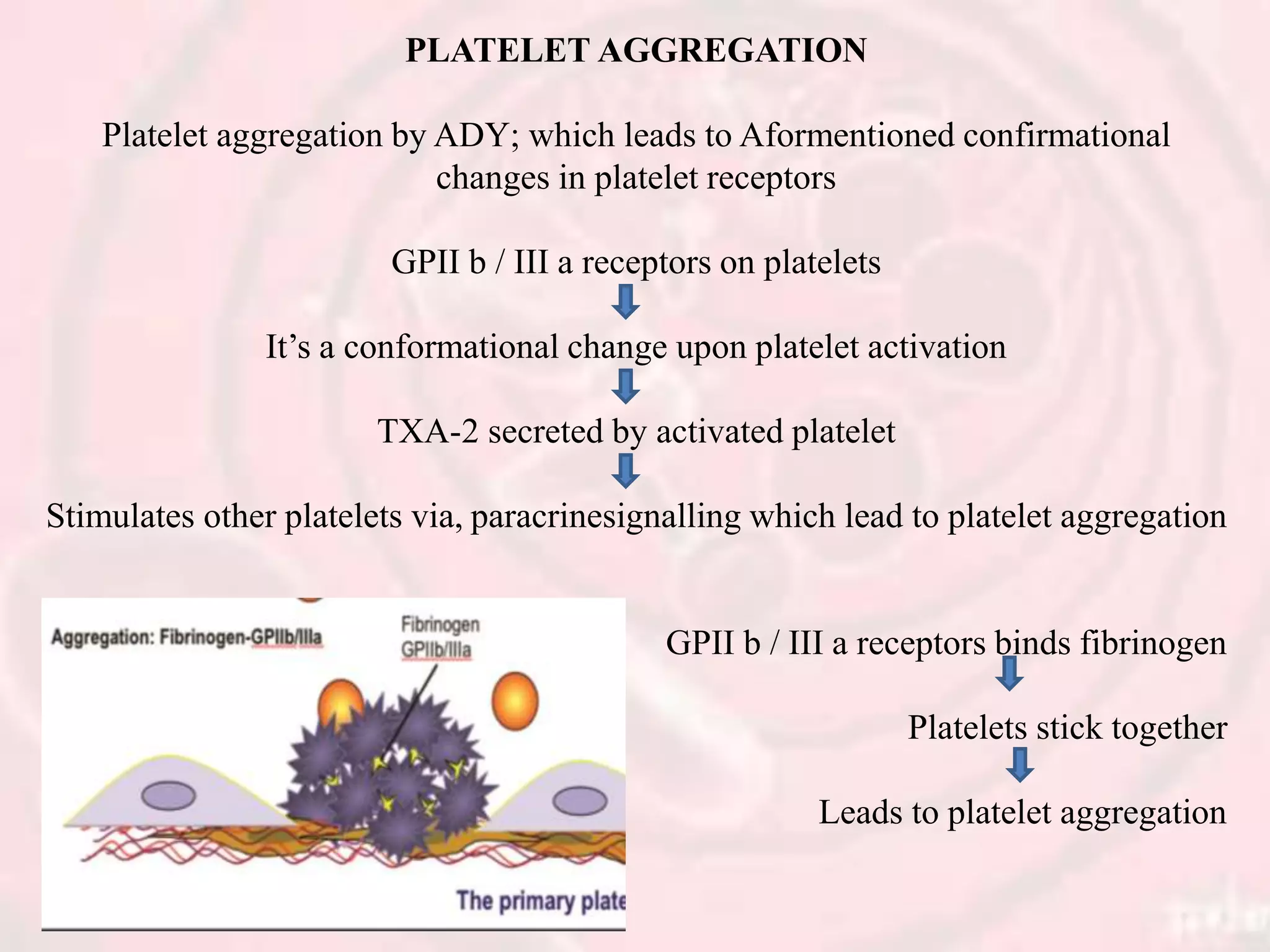 HEMOSTASIS /stages of hemostasis / Formation of platelet plug/ Mechanism of blood coagulation | PPTX