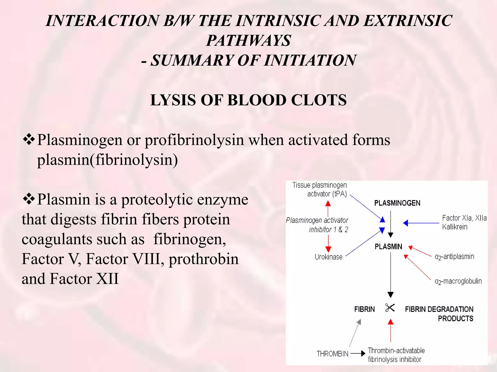 HEMOSTASIS /stages of hemostasis / Formation of platelet plug ...