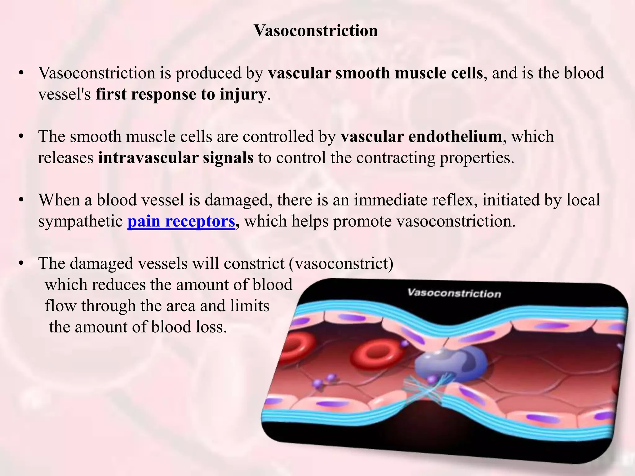 HEMOSTASIS /stages of hemostasis / Formation of platelet plug ...