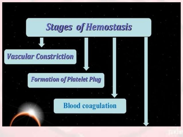 HEMOSTASIS /stages of hemostasis / Formation of platelet plug ...