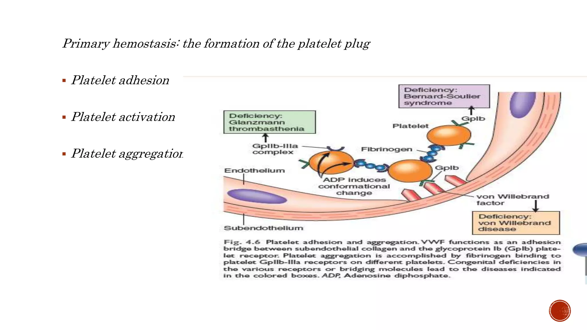 HEMOSTASIS.pptx