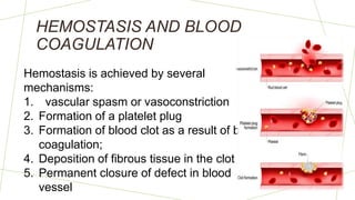 HEMOSTASIS.pptx
