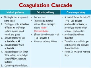 hemostasis.pdf