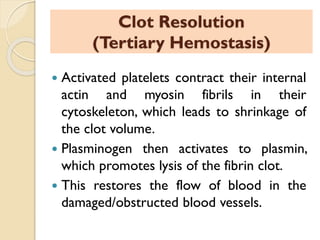 hemostasis.pdf