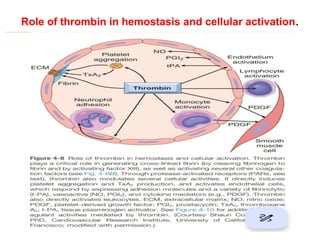 HEMOSTASIS.pptx