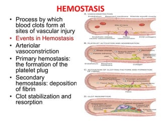HEMOSTASIS.pptx