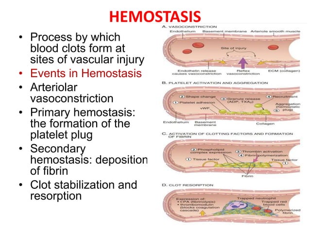 HEMOSTASIS.pptx