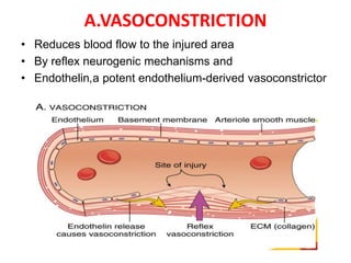 HEMOSTASIS.pptx