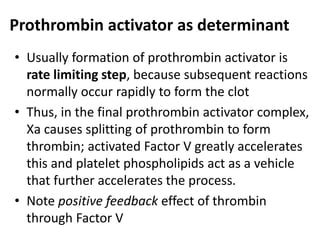 Introduction to Hemostasis (Prevention of Blood Loss) | PPT