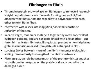Introduction to Hemostasis (Prevention of Blood Loss) | PPT