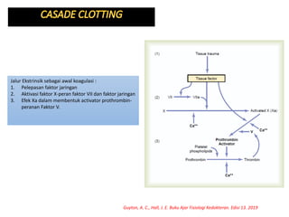 HEMOSTASIs darah HEMOSTASIs darah HEMOST | PPT