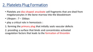 The Physiology of Hemostasis - Basic Sciences | PDF