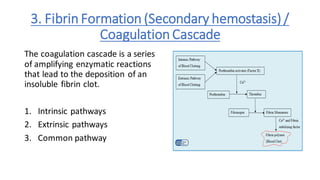The Physiology of Hemostasis - Basic Sciences | PDF