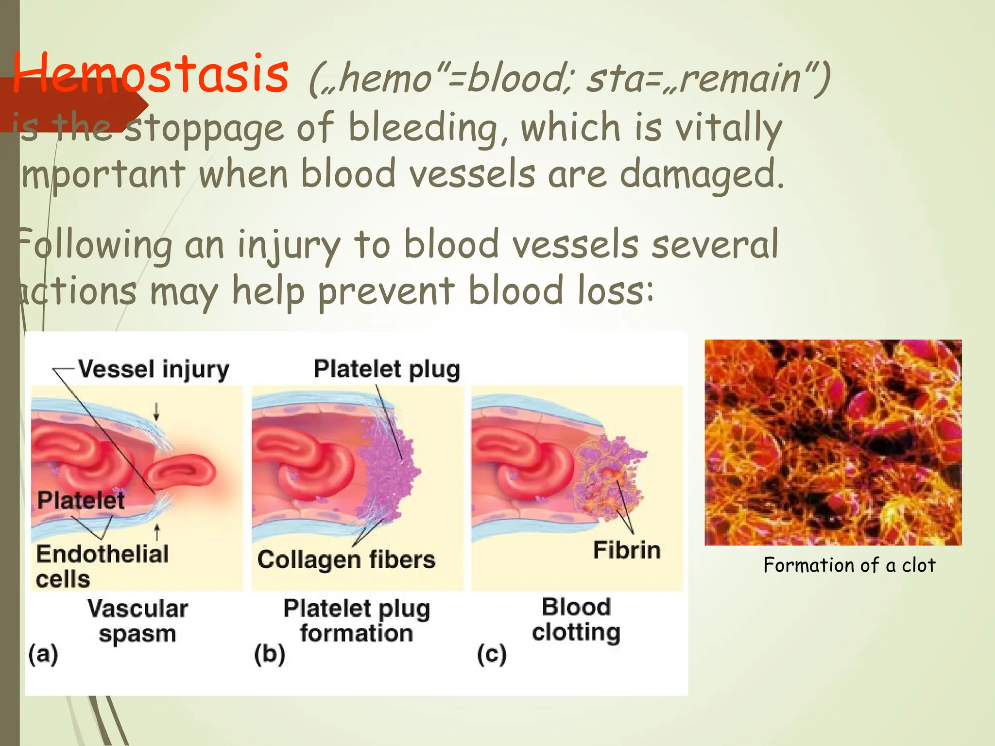 Platelet and physiology of Hemostasis and | PPT