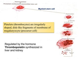 Hemostasis .pptx