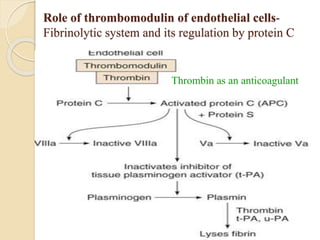 Hemostasis .pptx