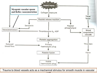 Hemostasis .pptx