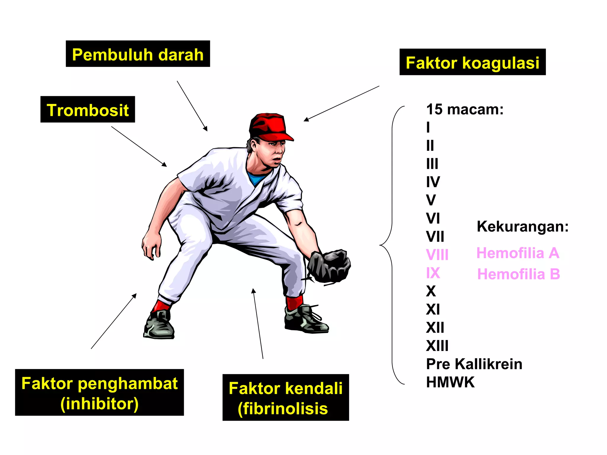 Hemostasis uii | PPT